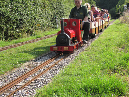 Merlin Loco | Bentley Miniature Railway